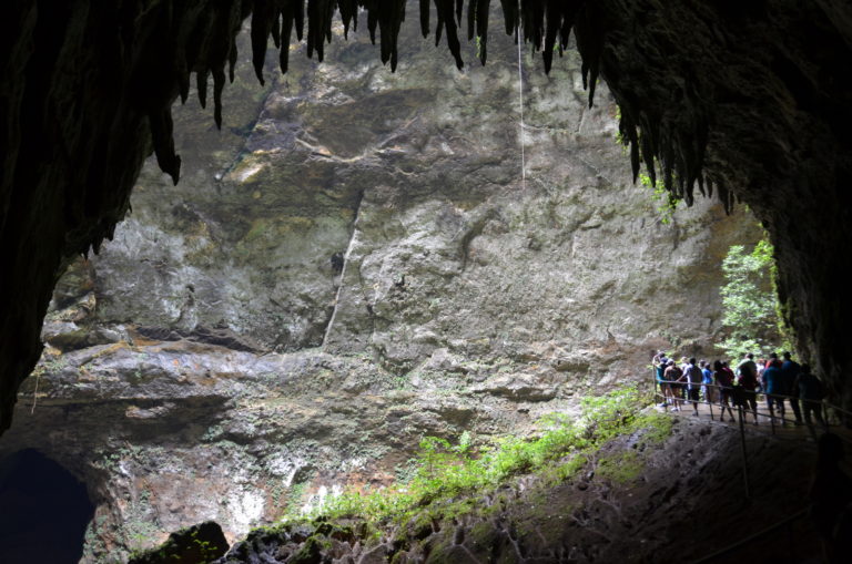 Camuy Caves Reopen | Discovering Puerto Rico