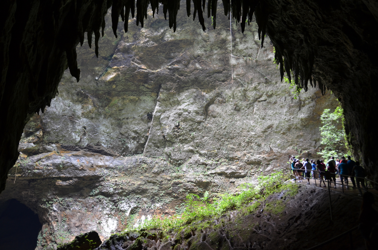 Camuy Caves Tours