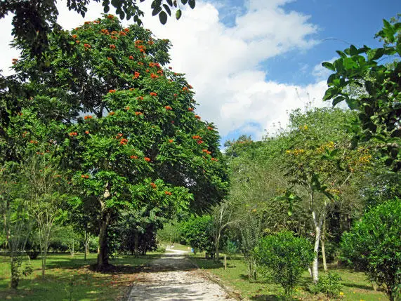 Hidden Oasis: Stunning Photos of Caguas Botanical Garden You Need to ...