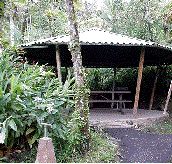 #3 Caimitillo Trail | Discovering Puerto Rico