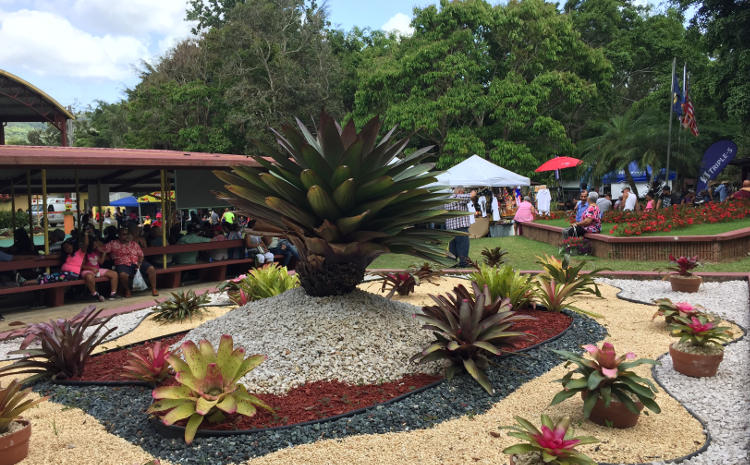 June Events Puerto Rico | Discovering Puerto Rico