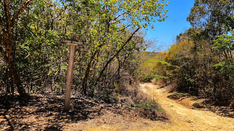 Hiking Guánica Dry Forest – Bosque Seco de Guánica | Discovering Puerto ...