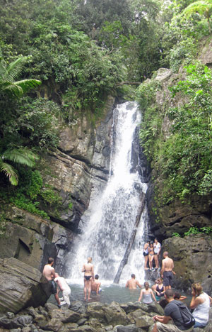 la mina trail in el yunque | Discovering Puerto Rico