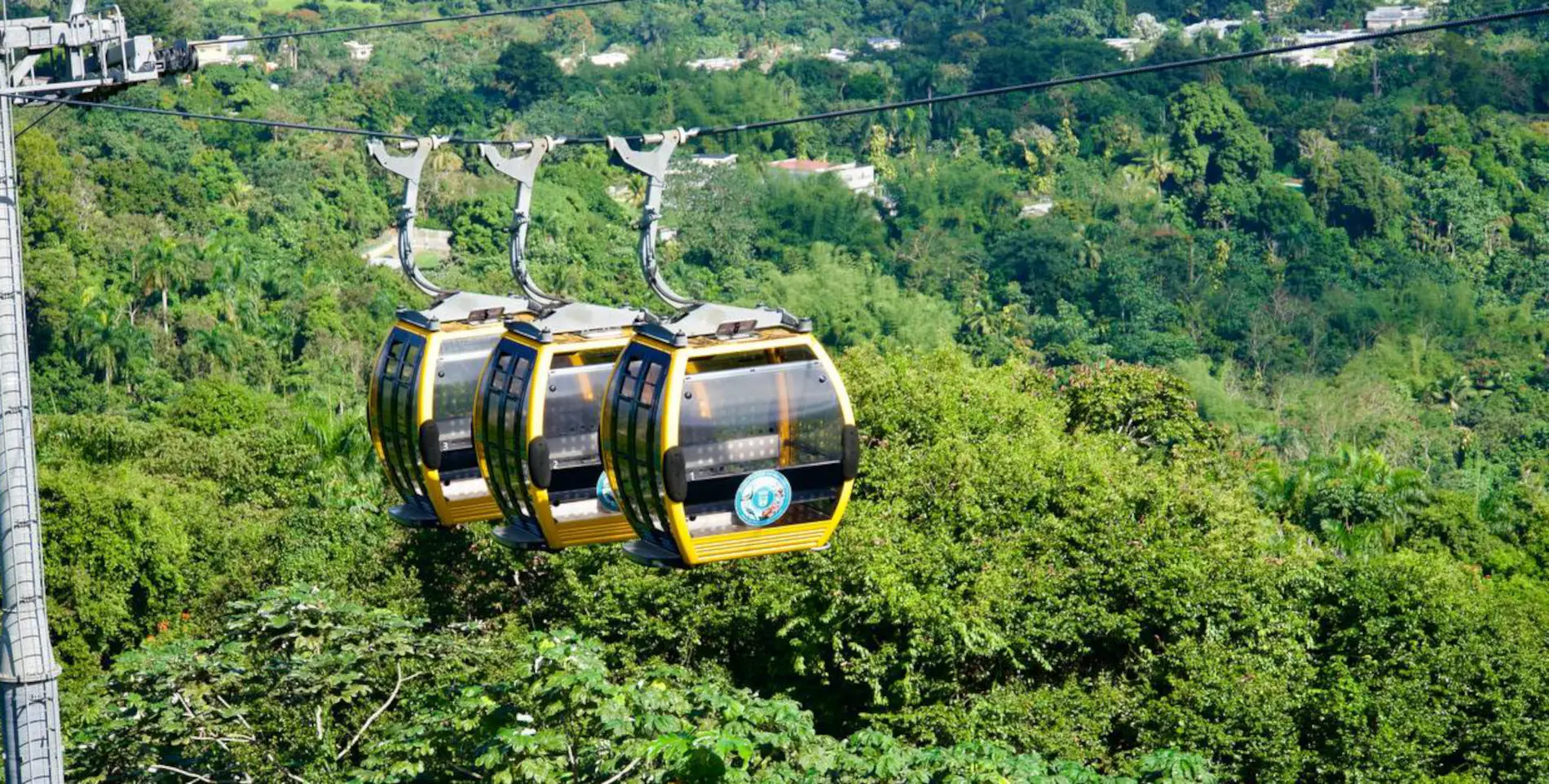 Parque Forestal La Marquesa Reopens: Everything You Need to Know ...