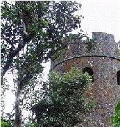 #5 Mt. Britton Trail | Discovering Puerto Rico