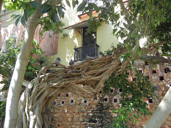 Parque De Las Palomas, Old San Juan (Pigeon Park) | Discovering Puerto Rico