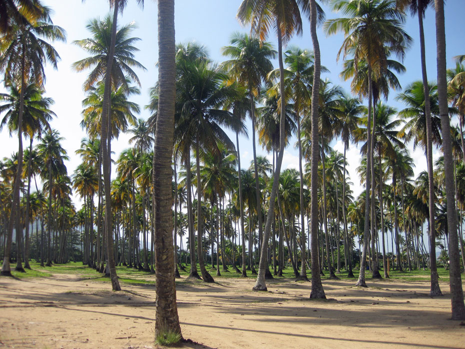 Playa Lucia Puerto Rico | Discovering Puerto Rico