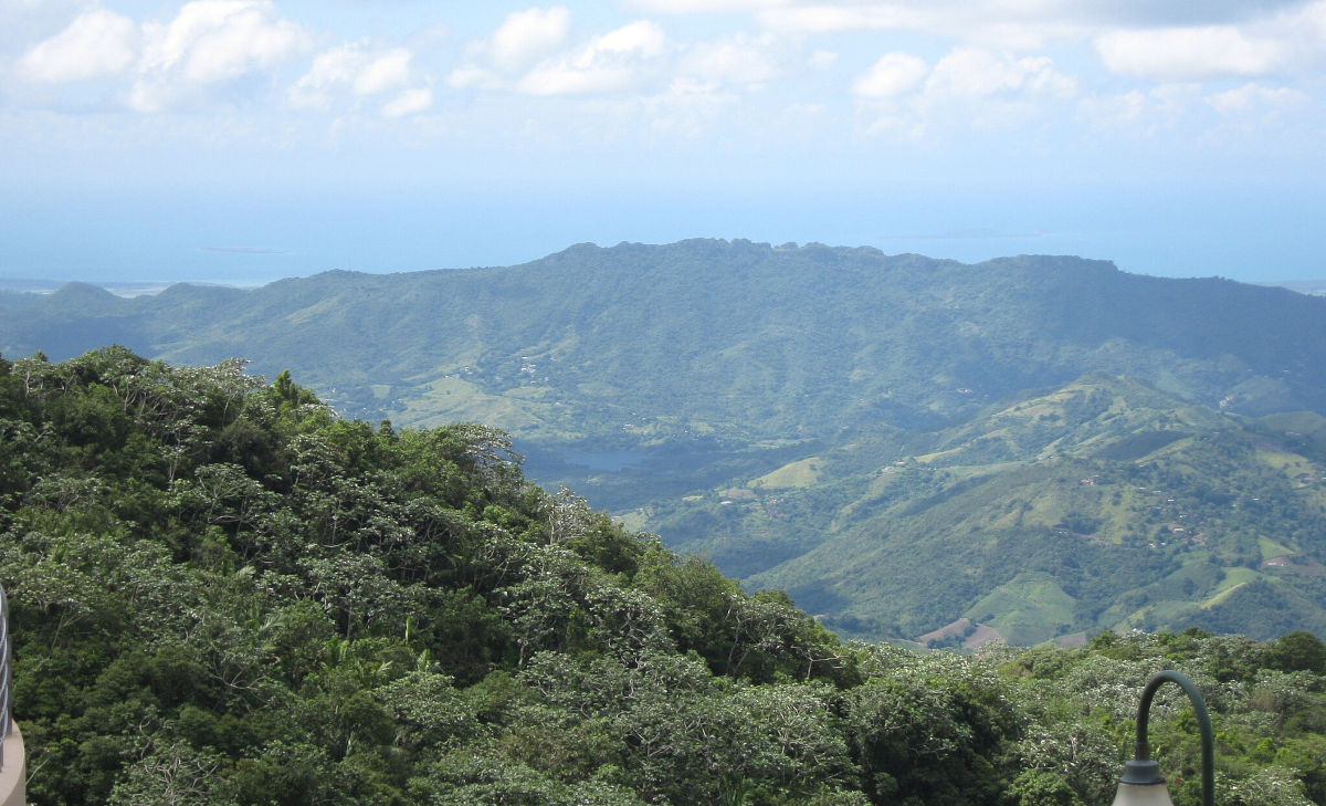 From Coastlines to Canopies: Puerto Rico’s Stunning State Forests ...