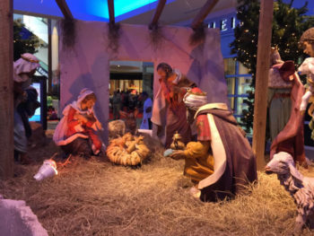 Discovering Puerto Rico - Your Local Guide to Puerto Rico