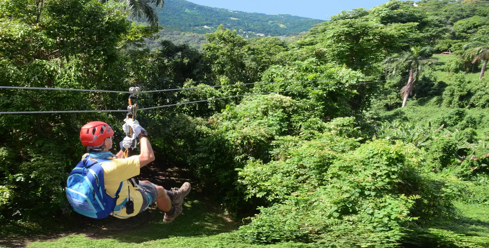 From Rainforests to Mountains: The Best Ziplining in Puerto Rico ...